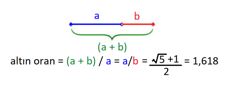 Altın Oran Nedir?