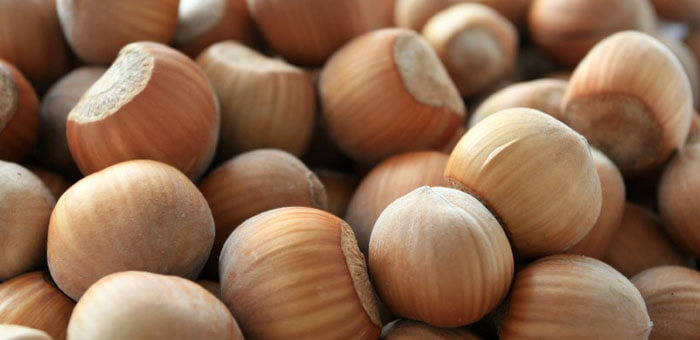 Fındık ve Faydaları