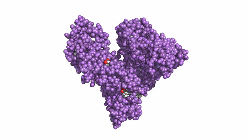 UniProt | Bilim Ve Tekno